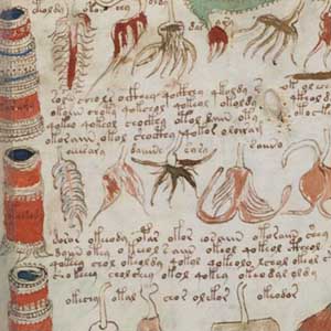 Reveal a part of the world's most mysterious book